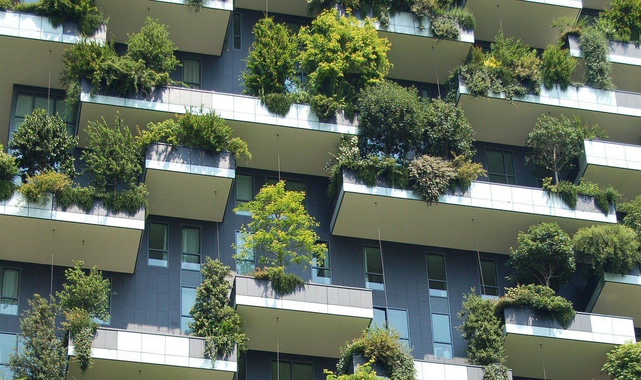 Sustainable Building: The Benefits of Choosing Timber | Blog